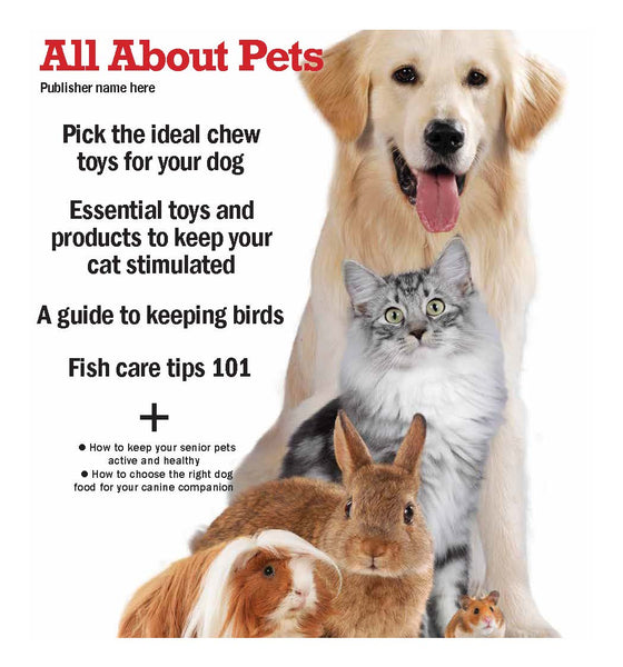 All About Pets 2024 - The Content Store